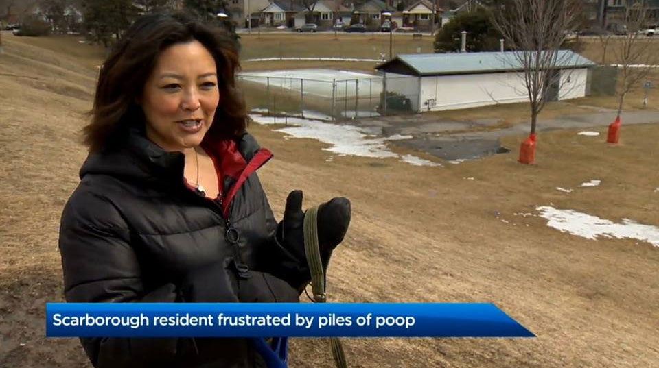 Be the Picked Up Poop You Want to See in the World | Blog? What blog?